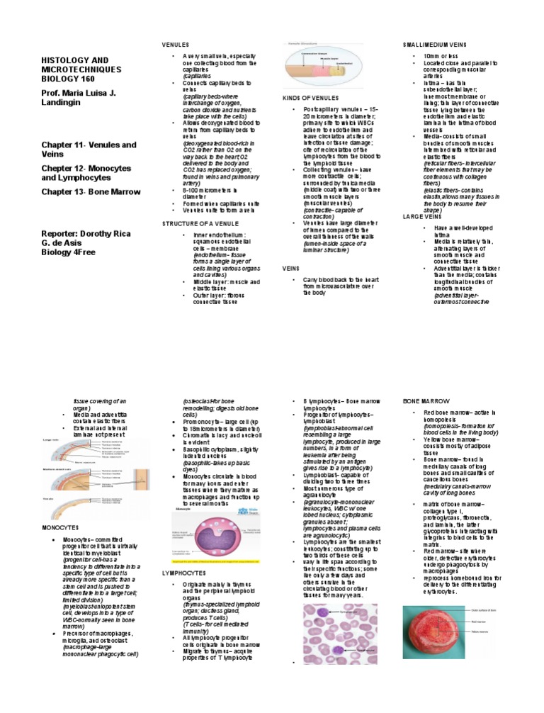 Histology and Microtechniques Biology 160 Prof. Maria Luisa J. Landingin | PDF | Artery | White ...