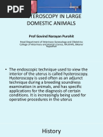 Amorphus Globosus Monster Buffalo | PDF | Fetus | Childbirth