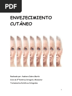 Involución Cutánea | PDF | Piel | Antioxidante