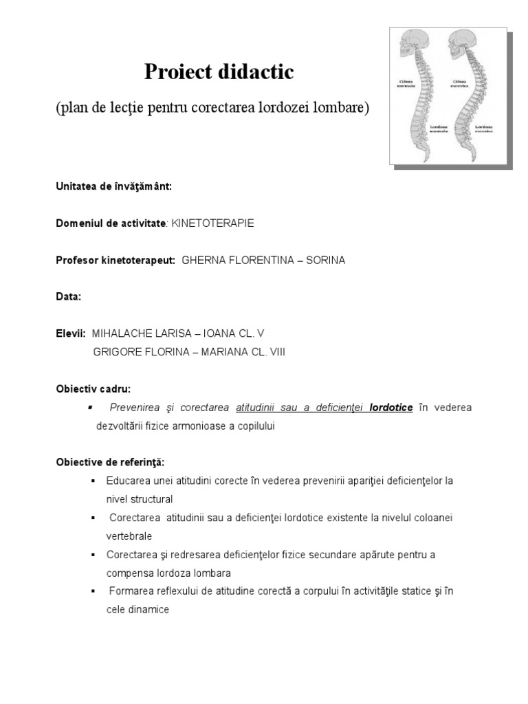 Proiect Did - Lordoza | PDF