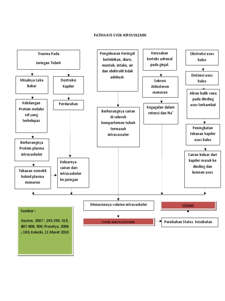 Patway Syok Hipovolemik Fix | PDF