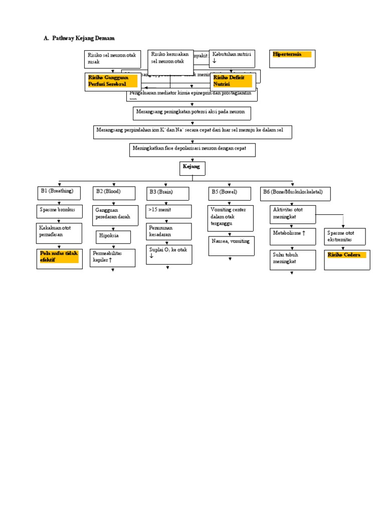 Pathway Kejang Demam | PDF