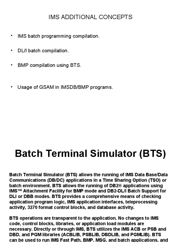 Batch Terminal Simulator (BTS) | PDF | Computer Program | Programming