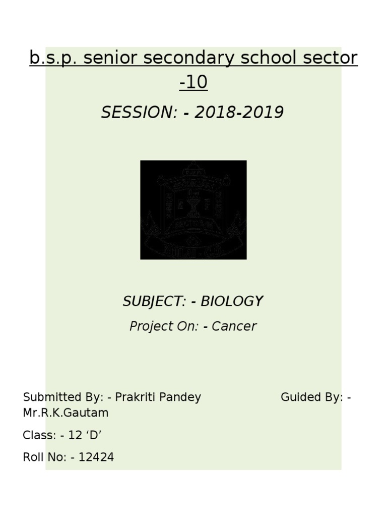 B.S.P. Senior Secondary School Sector - 10: SESSION: - 2018-2019 | PDF ...