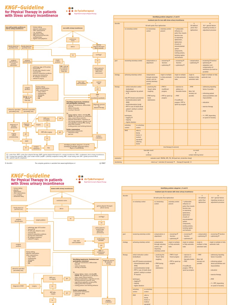 KNGF-Guideline: For Physical Therapy in Patients With Stress Urinary ...