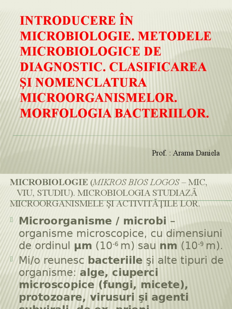Morfologia Bacteriilor | PDF