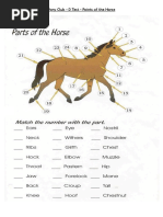 Pony Club C Test Guidelines | PDF | Horse Gait | Horses