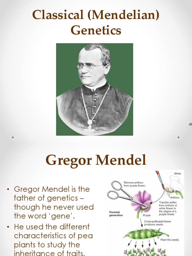 Classical (Mendelian) Genetics | PDF | Blood Type | Allele
