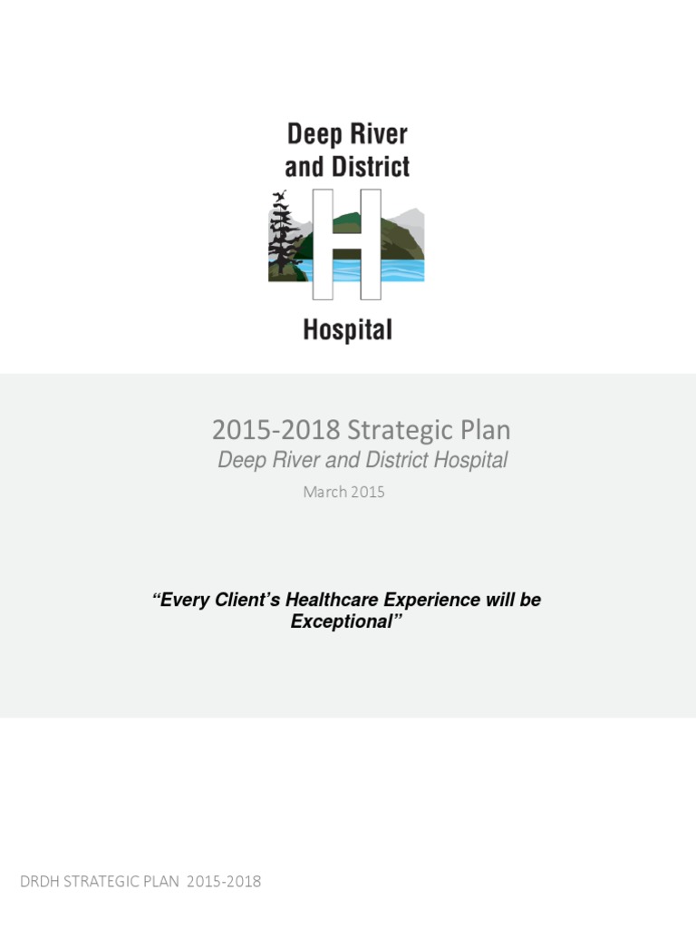 Detailed Hospital Strategic Plan Example | PDF | Strategic Planning ...