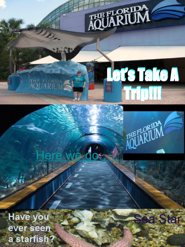 Digital Field Trip | PDF