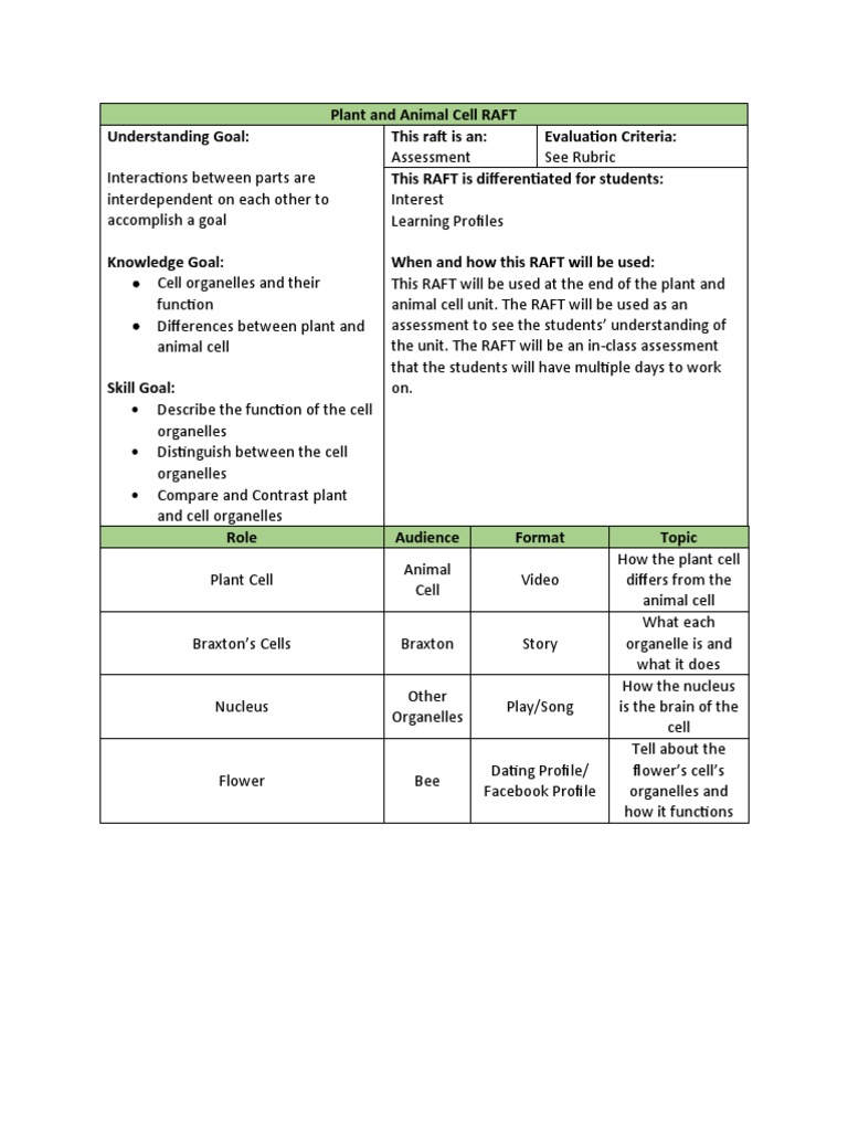 Plant and Animal Cell Raft | PDF | Educational Assessment | Cell (Biology)