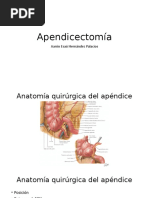 Apendicitis Aguda - Guias de Jerusalem | PDF | Especialidades Quirúrgicas | Gastroenterología