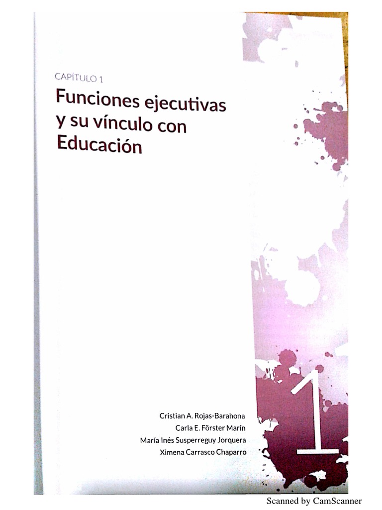 Rojas - Barahona - Funciones Ejecutivas y Educación PDF | PDF