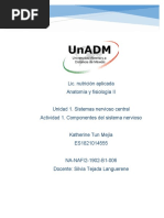 El Colículo Superior | PDF | Anatomía humana | Neurociencia