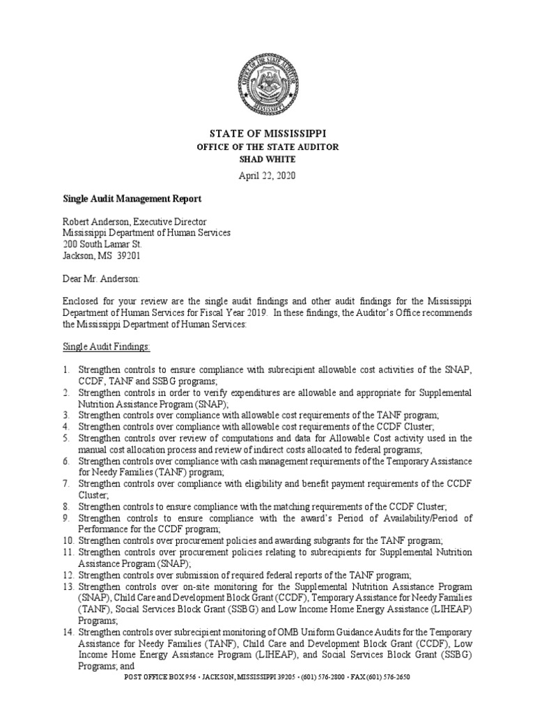 State Auditor DHS Report | Download Free PDF | Administration Of ...