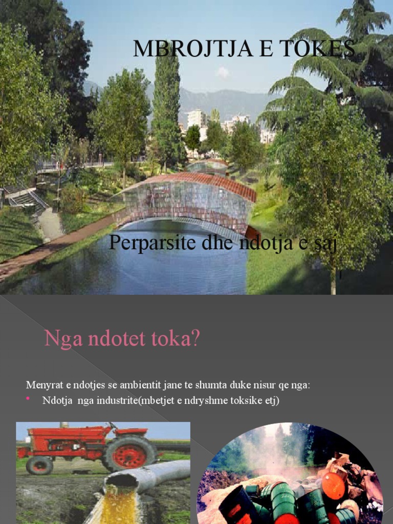 Mbrojtja e Tokes | PDF