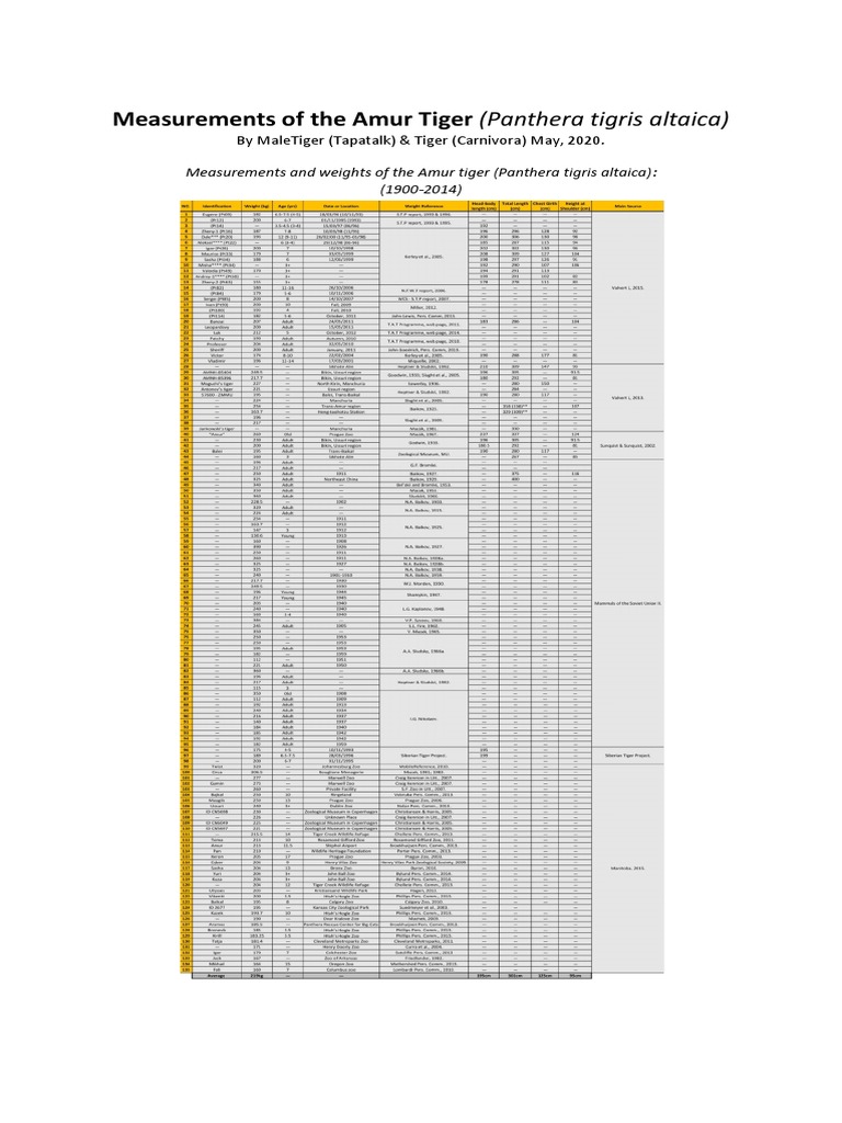 Adam Tiger Amur Weights | PDF
