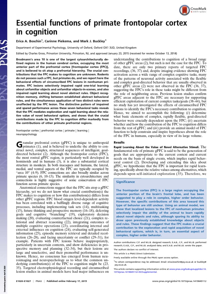 Essential Functions of Primate Frontopolar Cortex in Cognition | PDF ...
