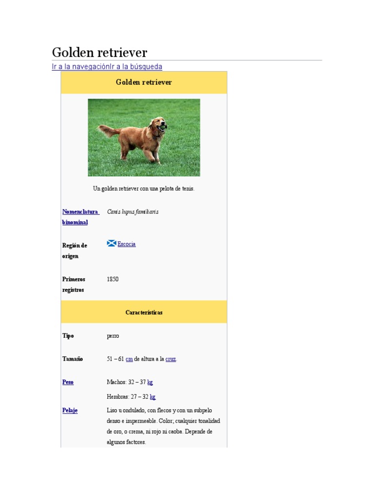 Golden Retriever | PDF | Golden Retriever | Perros de trabajo