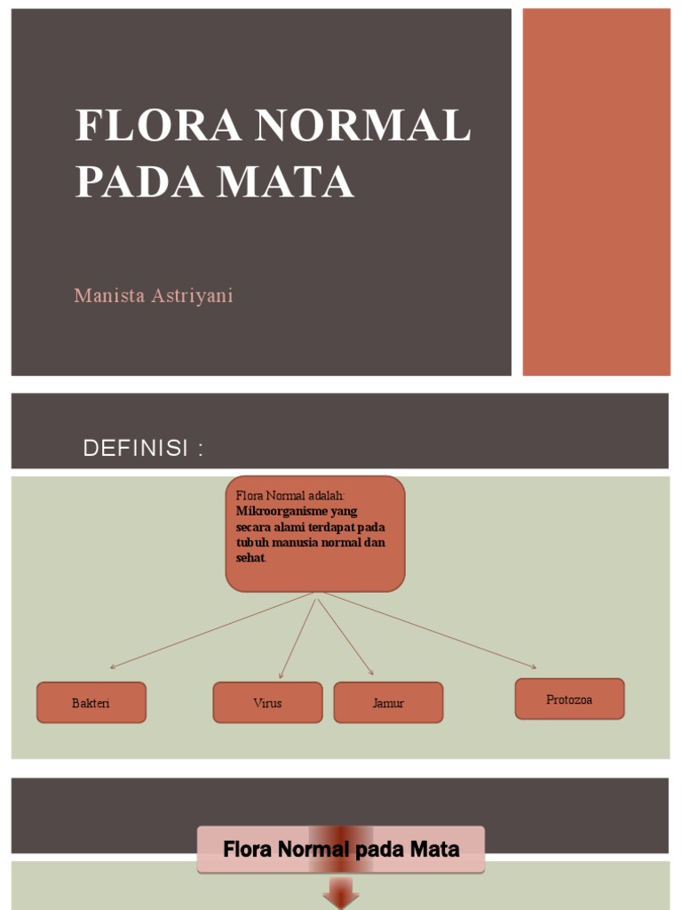 Flora Normal pada Mata Manusia | PDF