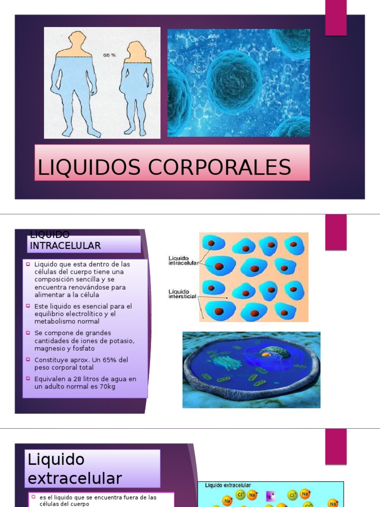 Líquidos Corporales | PDF | Sangre | Metabolismo