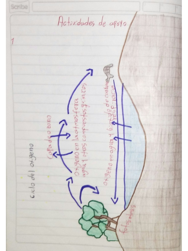 Taller de Ciencias Naturales 7C PDF | PDF