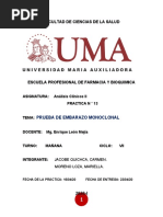 Prueba Gravindex para Diagnóstico de Embarazo | PDF