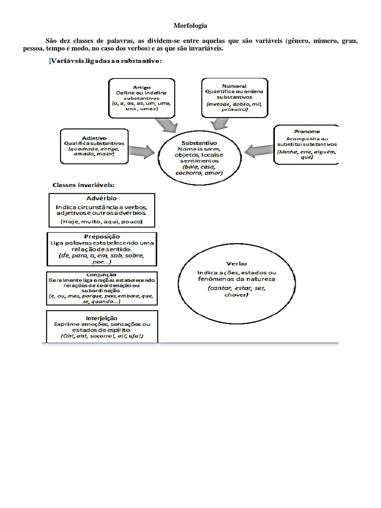 Esquema Resumo de Morfologia | PDF