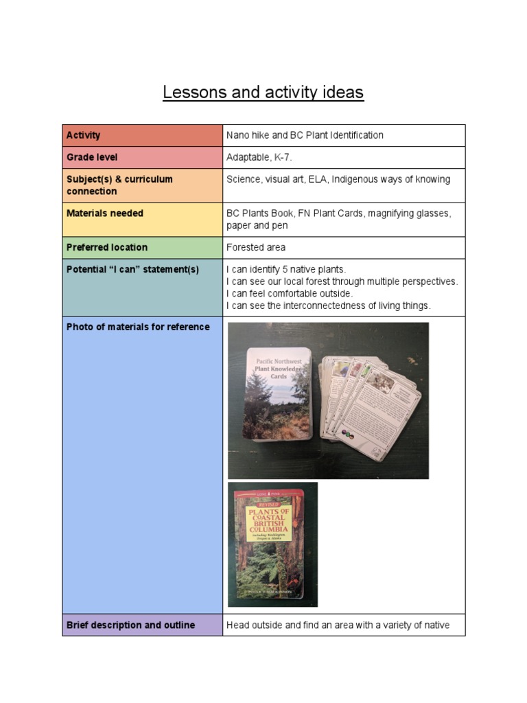 Ttoc Lesson Ideas | PDF | Self | Curriculum