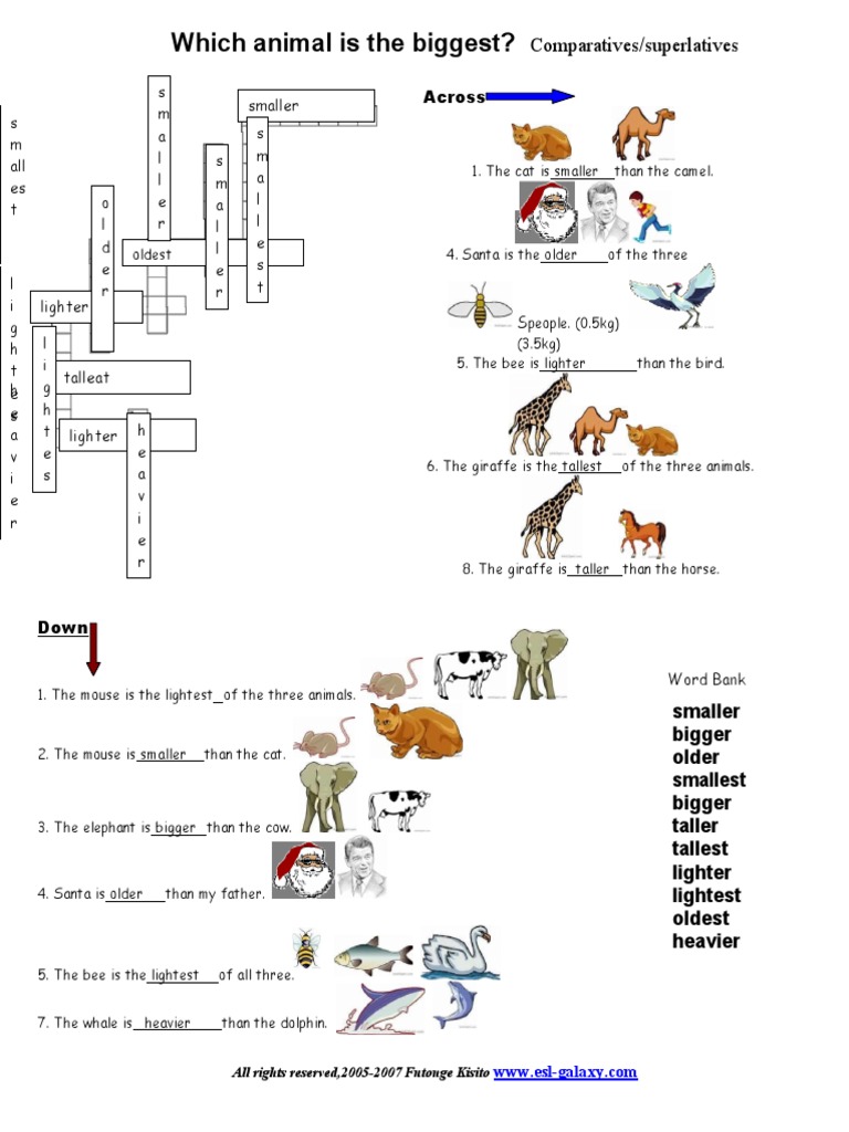 Animal Comparatives & Superlatives Puzzle | PDF | Ungulates | Mammals