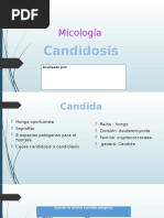 Infografía Del Candida Albicans (Hongo Biología Médica) | PDF | Candidiasis | Especialidades Medicas