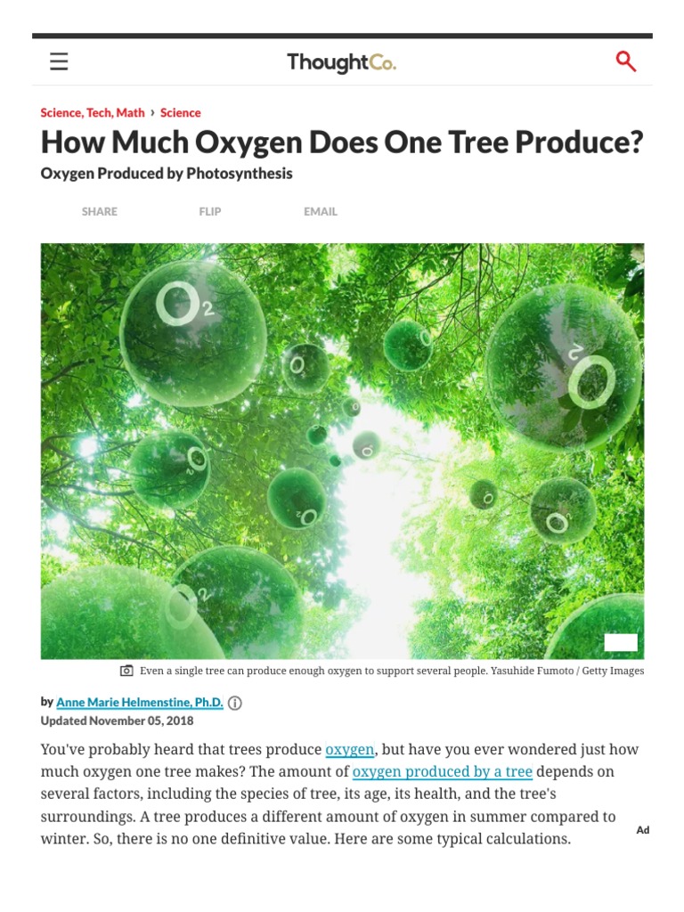 How Much Oxygen Does One Tree Produce | PDF | Oxygen | Trees