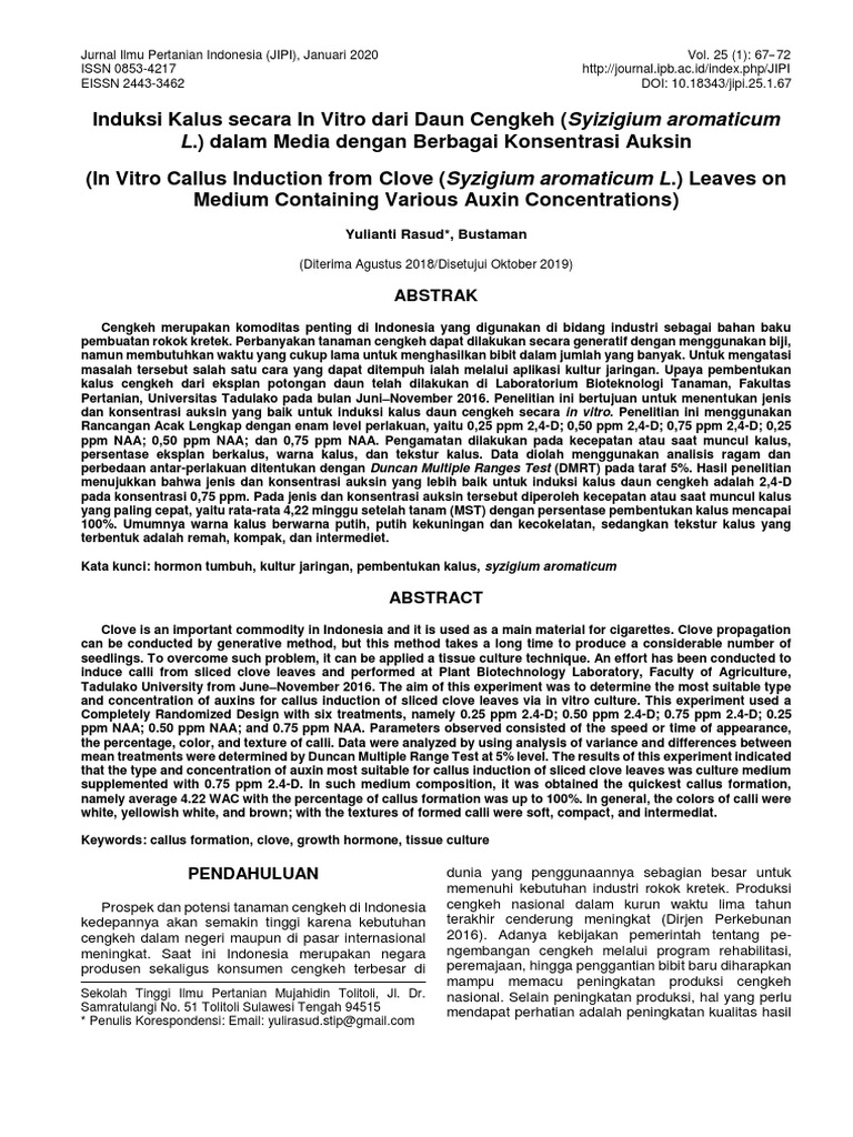 Manfaat Kultur Kalus Dan Gambar Kalus 2019 | PDF