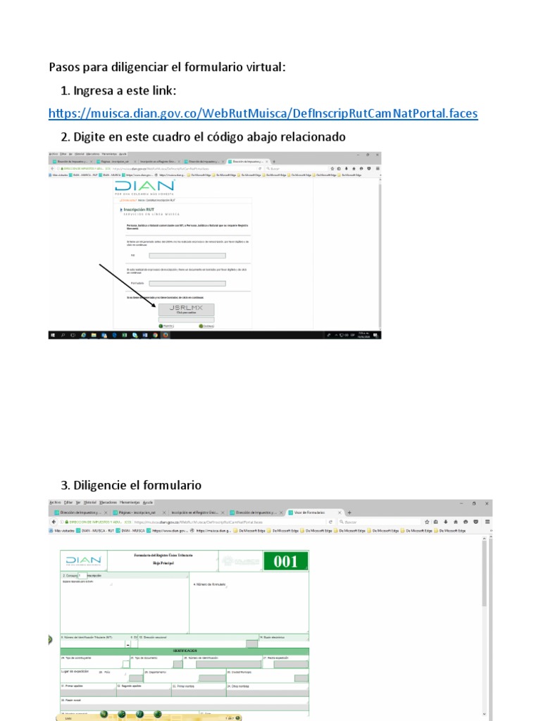 Como Diligenciar Formato 001 | PDF