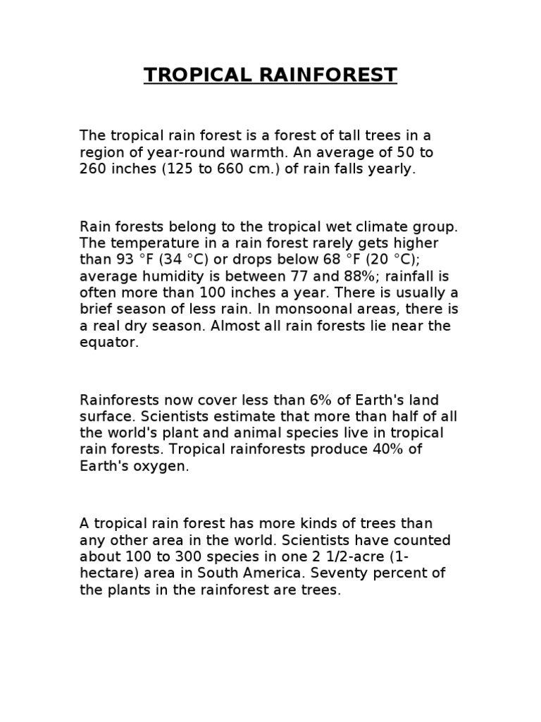 Tropical Rain Forest | Rainforest | Trees