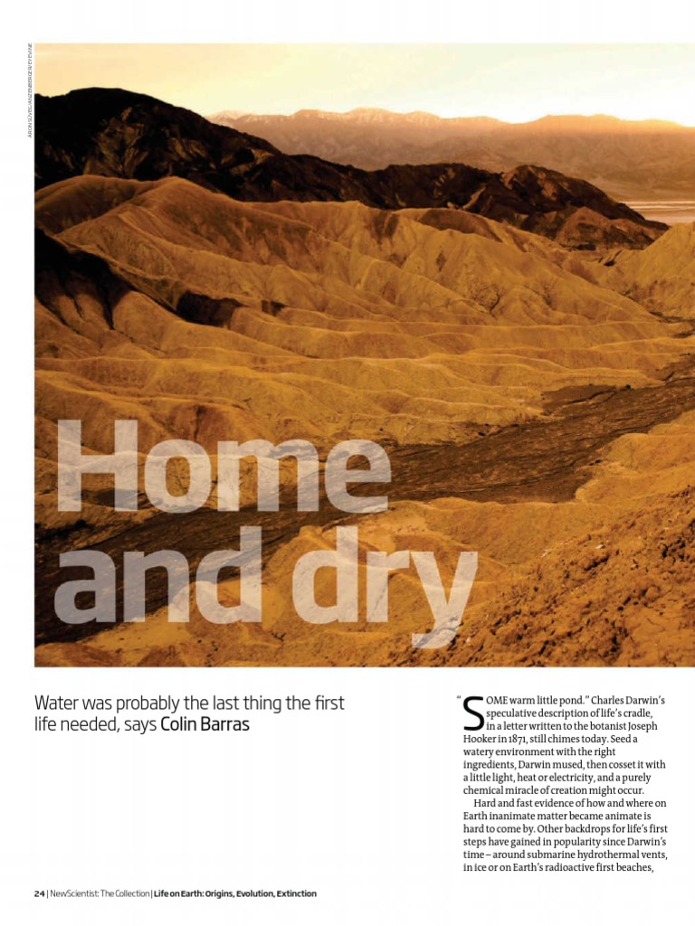 Rethinking Life's Origins: Water's Role | PDF | Life | Mars