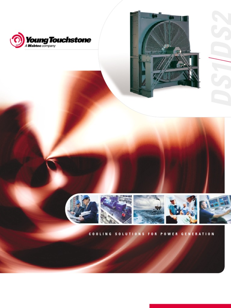 Young Touchtone Radiators DS - Brochure PDF | PDF | Pipe (Fluid ...