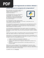 Fundamentos de Programación en Python Cisco | PDF | Lenguaje de ...