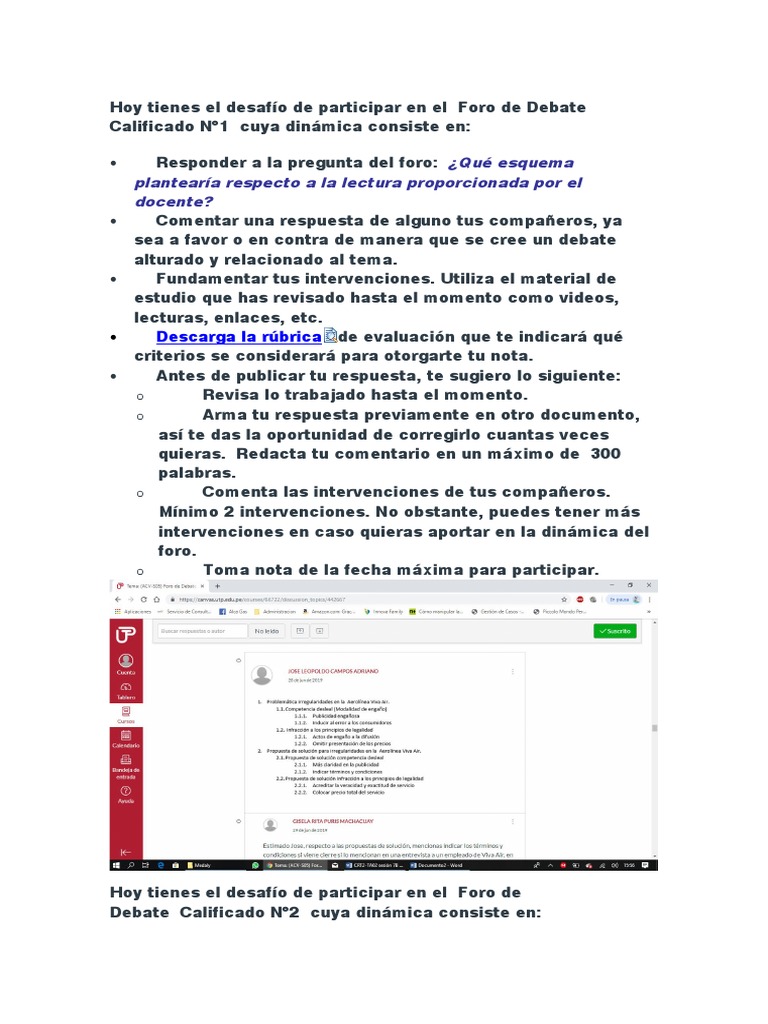 Foros y Autoevaluaciones | PDF