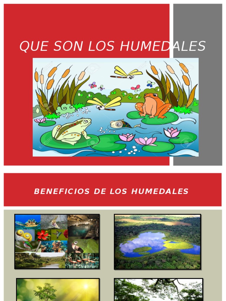 Que Son Los Humedales | PDF