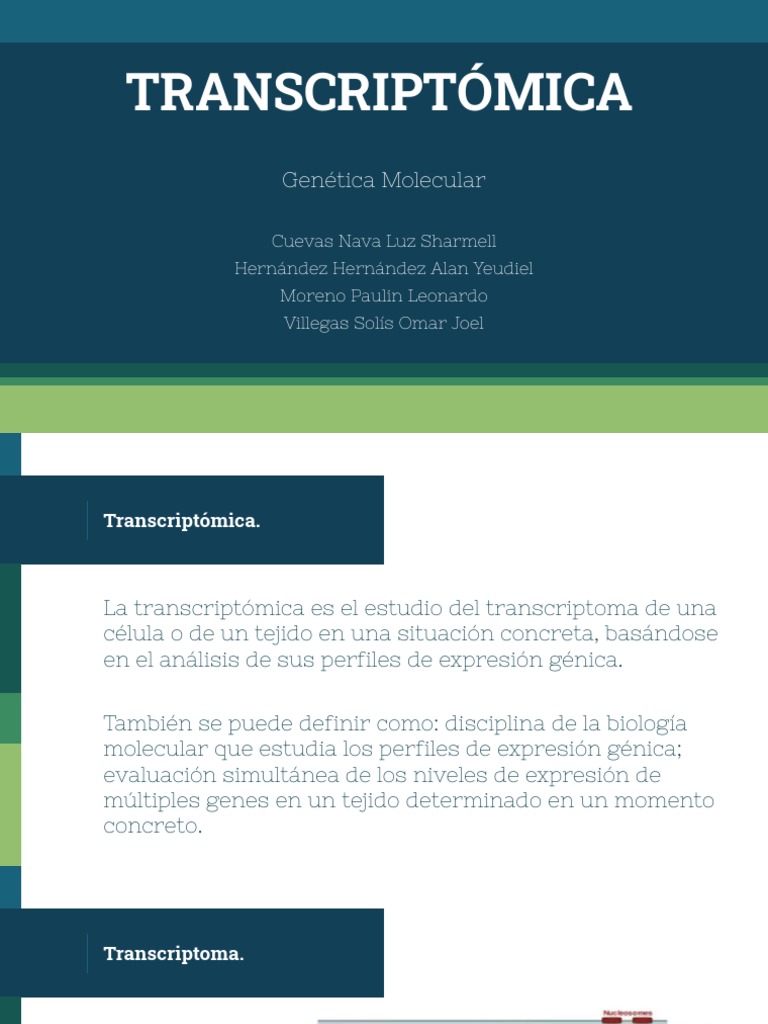 Transcriptómica PDF | PDF | Messenger Rna | Transcriptoma