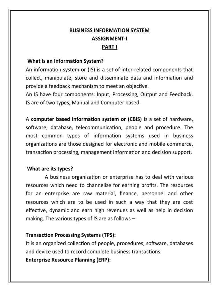 Business Information System Assignment-I What Is An Information System ...