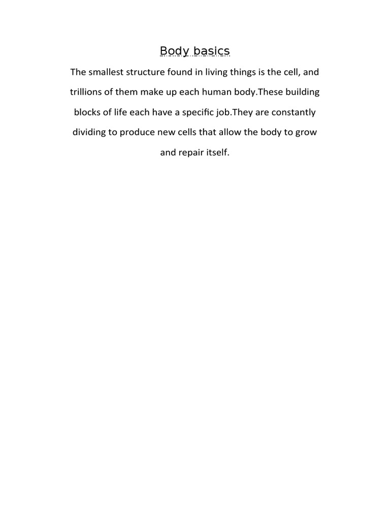 Body Basics | PDF