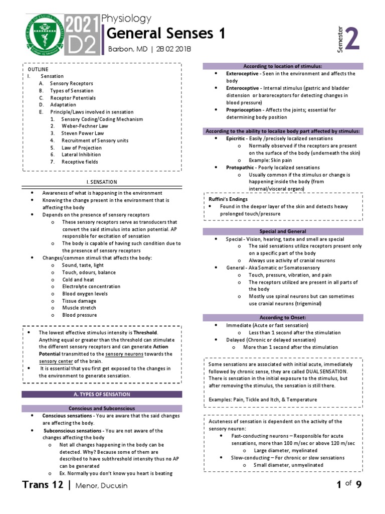 Phys 2S12 General Senses 1 | PDF | Stimulus (Physiology ...