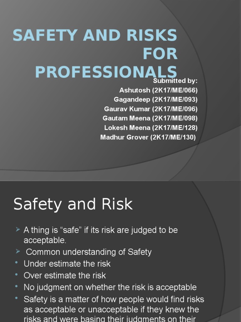 HU-304 (Group No.10 Presentation) | PDF | Risk | Safety