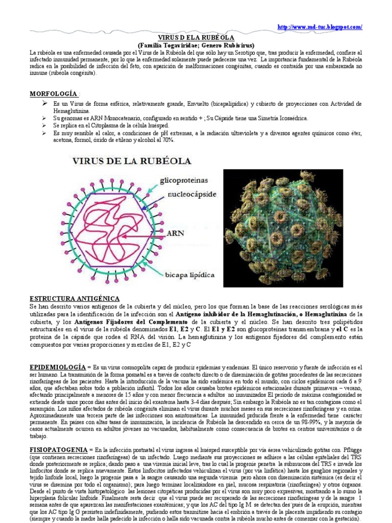 VIRUS DE LA RUBÉOLA