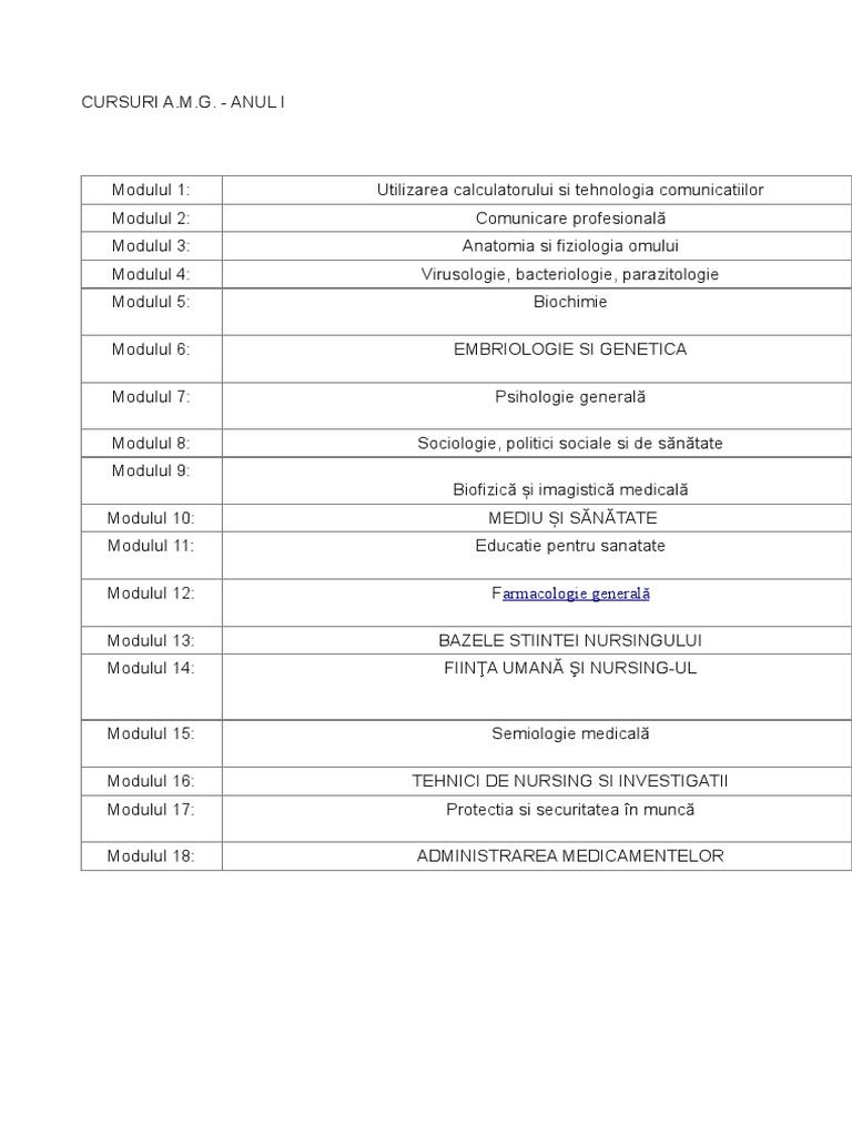 Planificare Amg | PDF