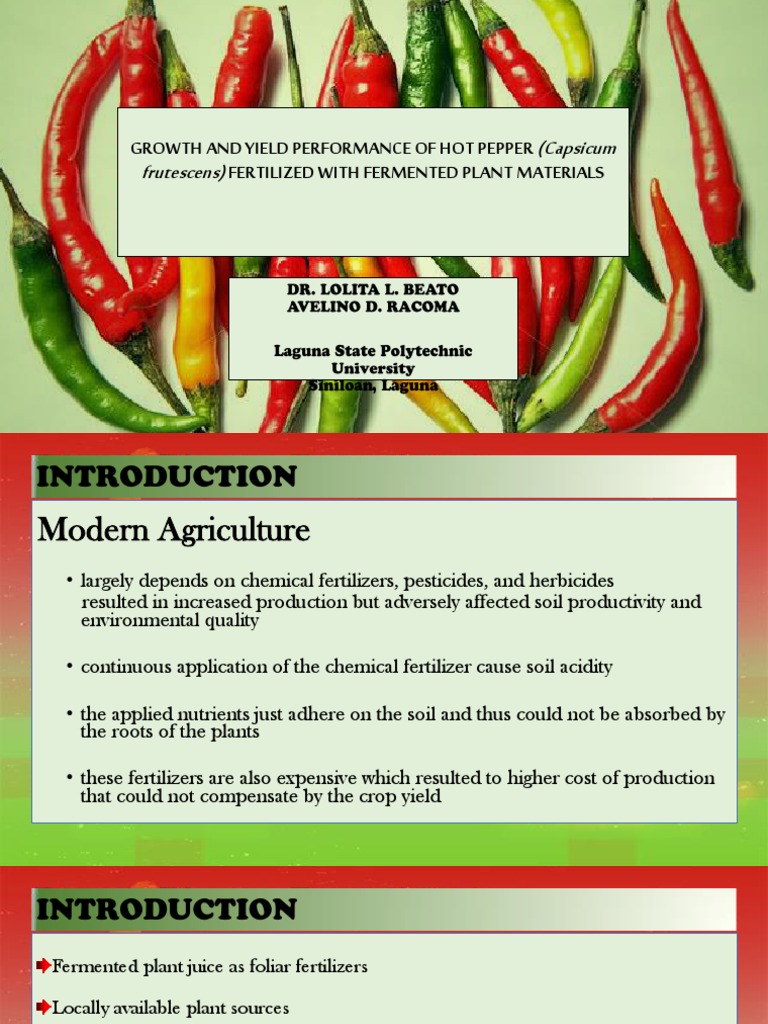 Hot Pepper Growth with Organic Fertilizers | PDF | Capsicum | Fertilizer