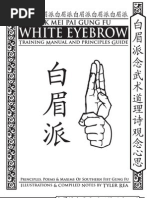 Kung-Fu - The Ultimate Guide To Shaolin Kung Fu Along With Its Movements and Techniques | PDF