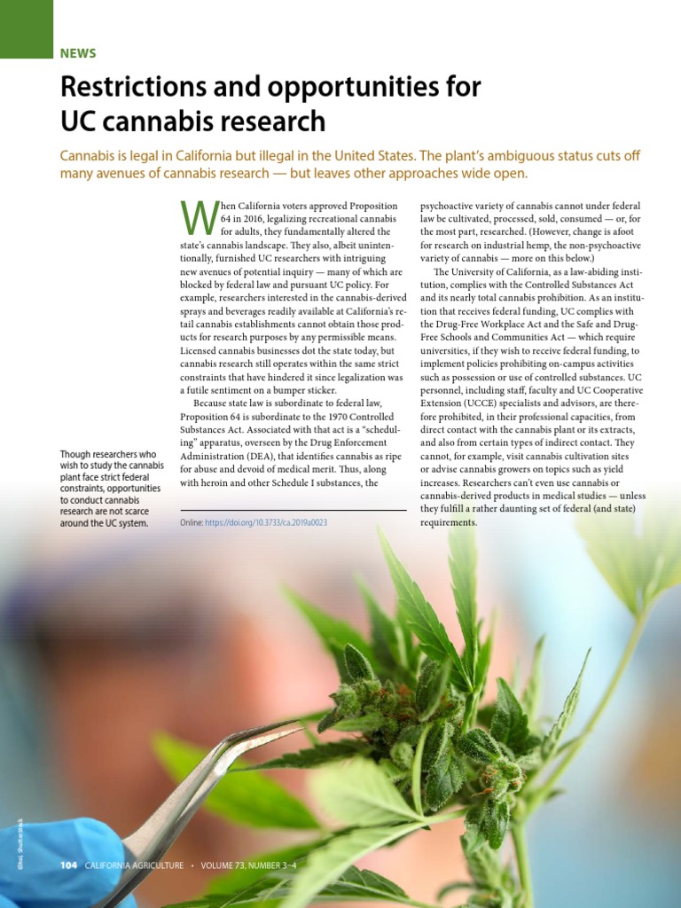 Cannabis | PDF | Cannabis (Drug) | Cannabis